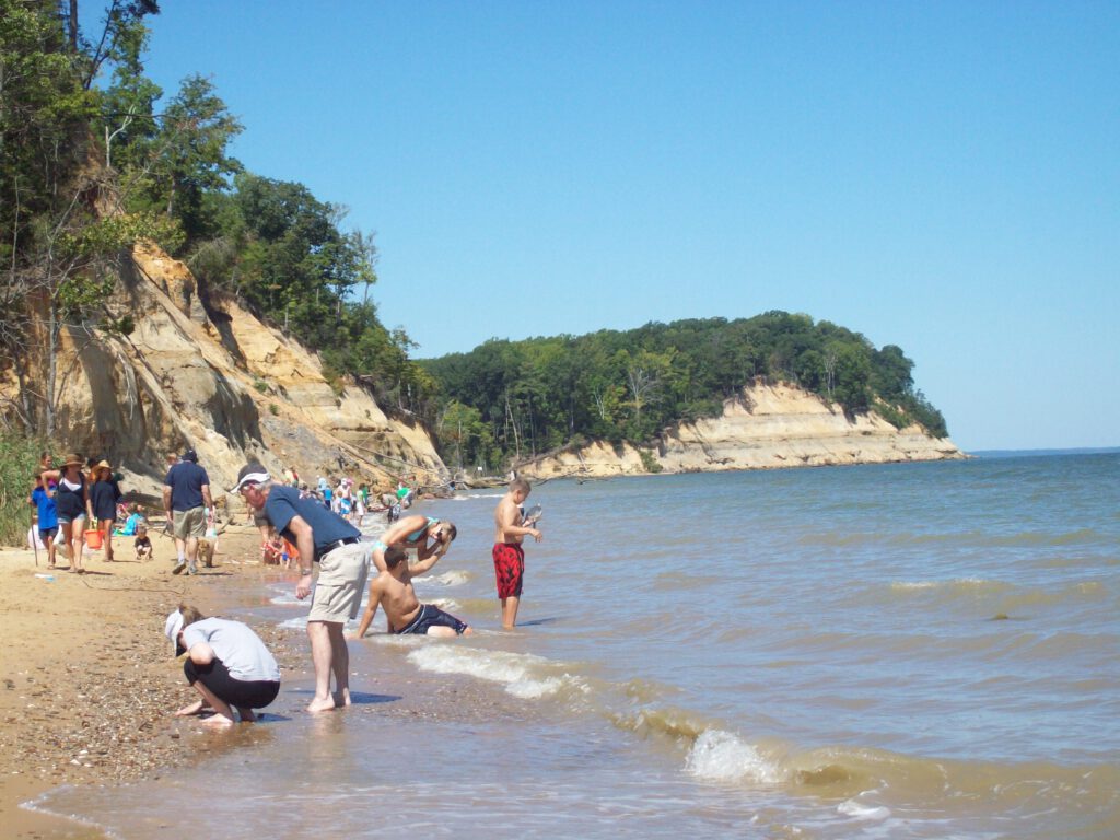 Fossilized Clam Shell from Calvert Cliffs Maryland Craft Supplies ...